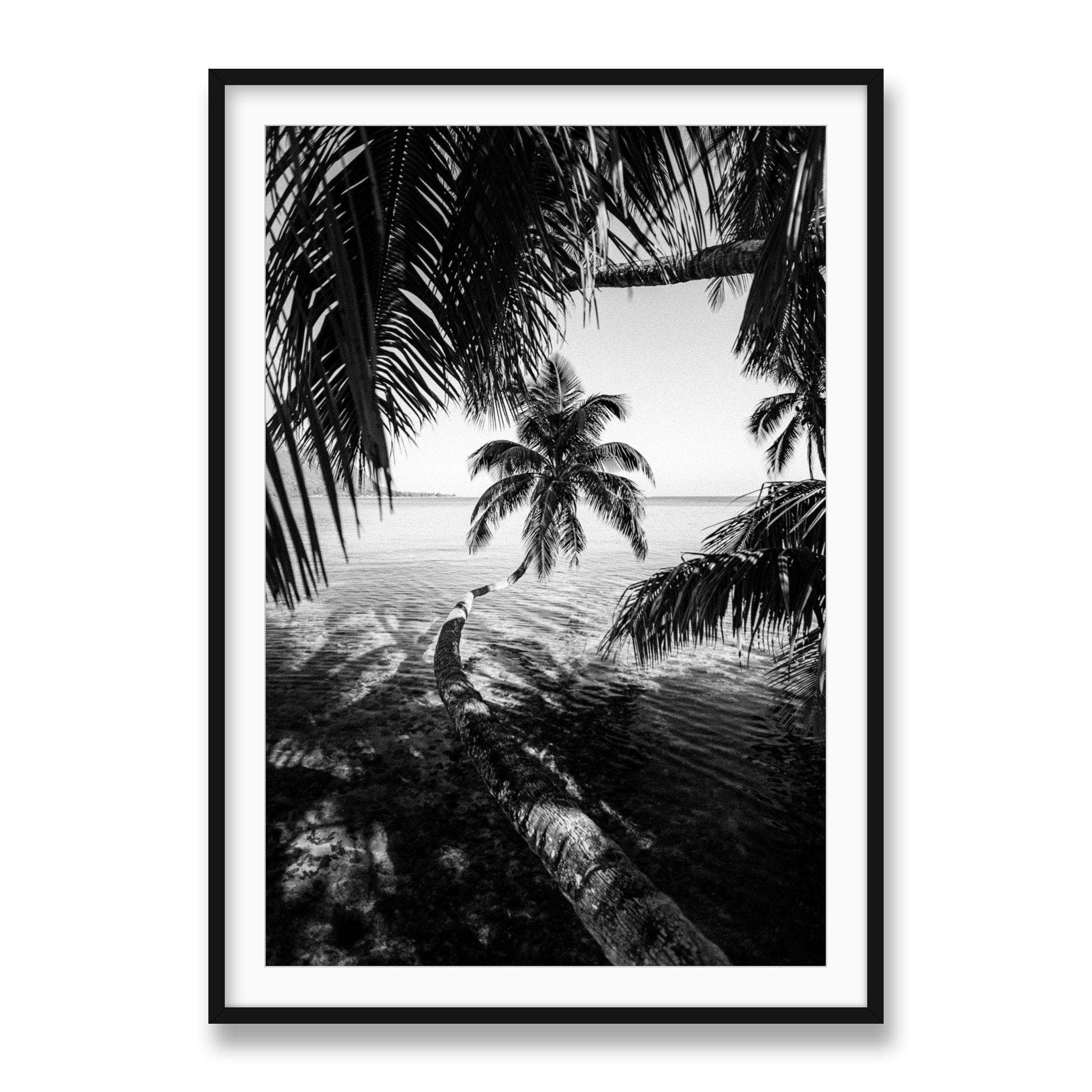 Outstretched | Framed Photography by Benjamin Ono, Curated by Midnight Station. – Midnight ...