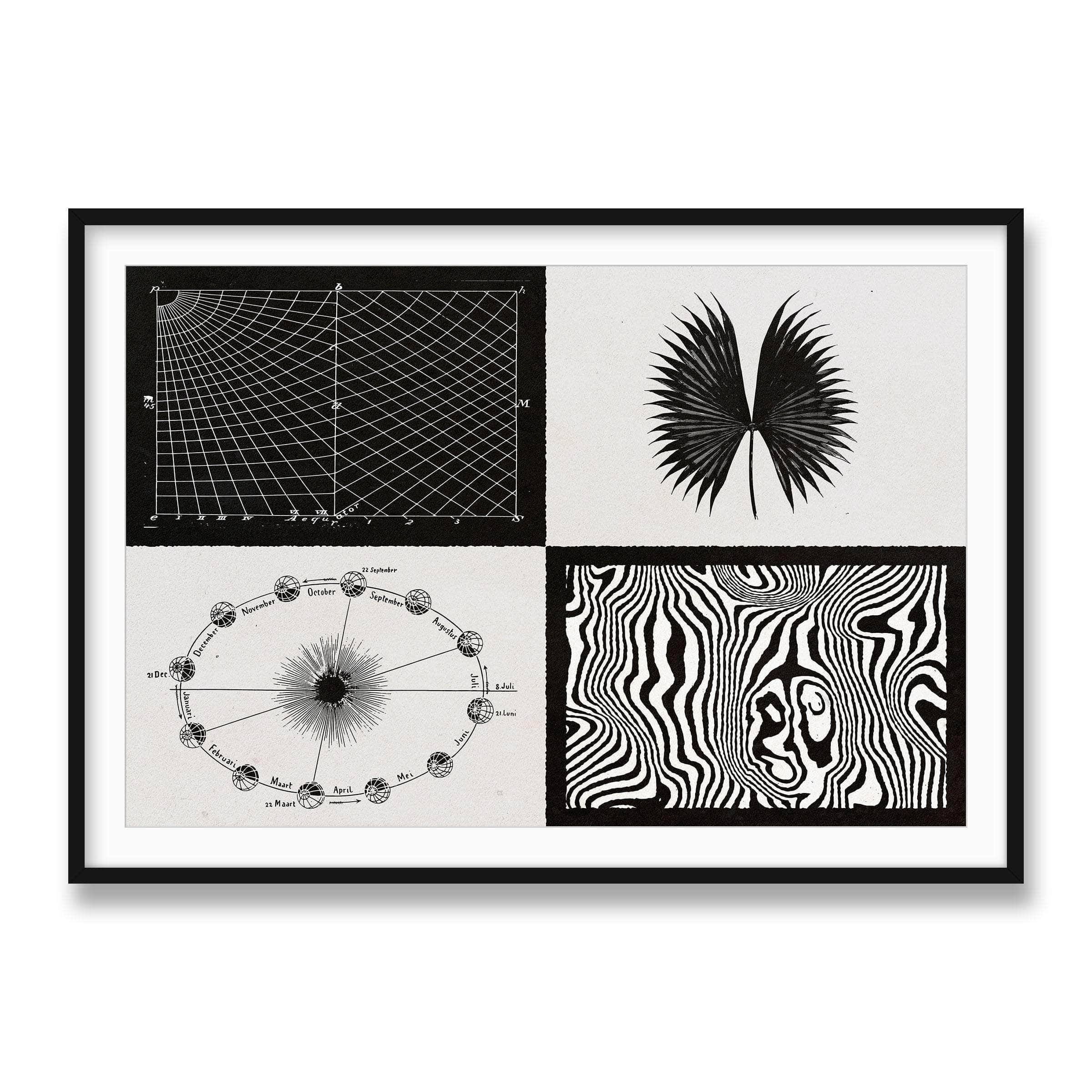 Quadriptych | Framed Illustration by Jack Powell, Curated by Midnight ...