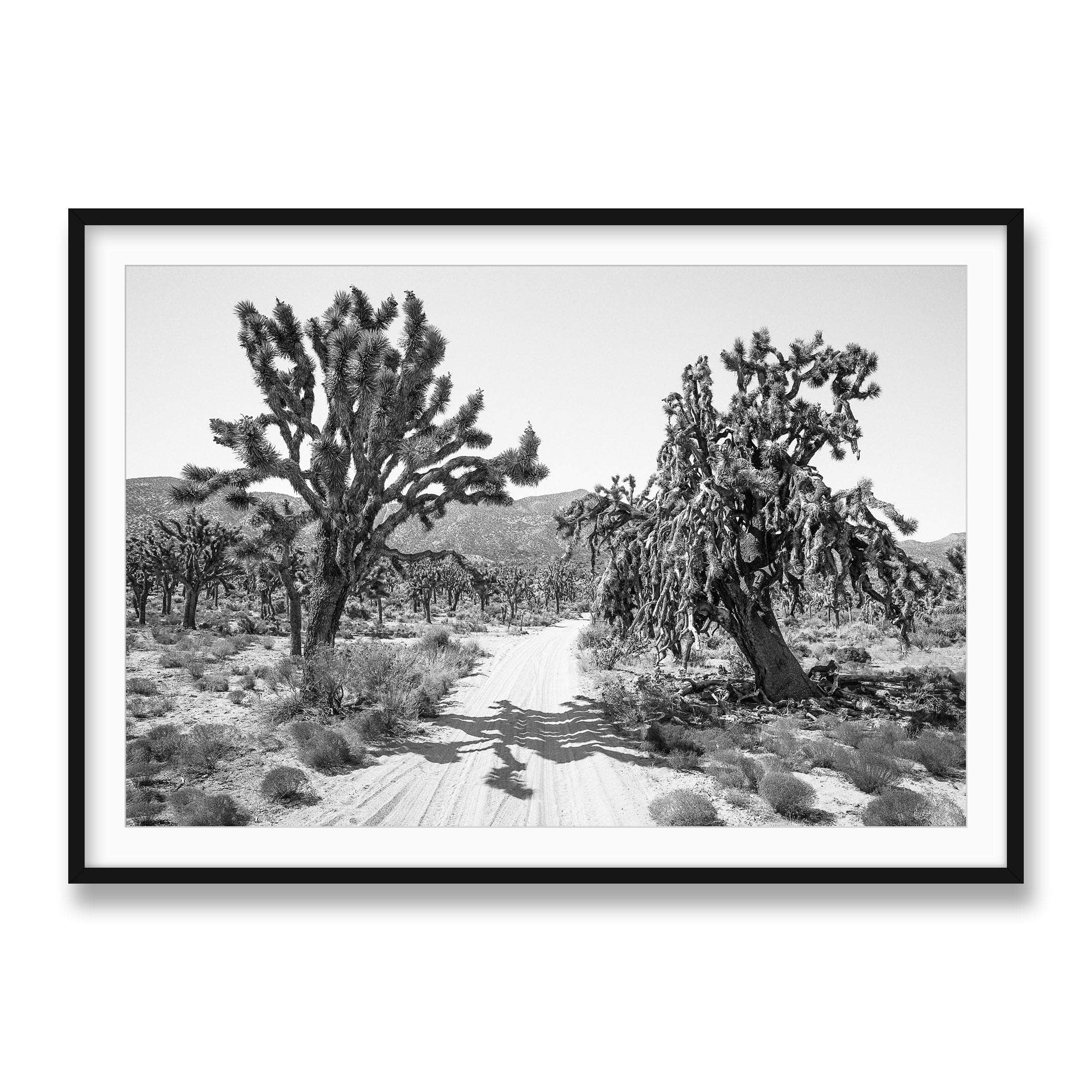 Road To Nowhere | Framed Photography by Autumn Stein, Curated by ...